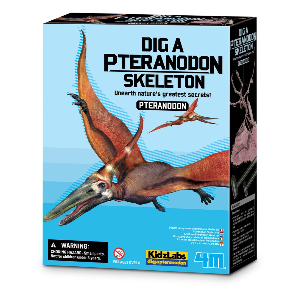 Dig a Dinosaur - Pteranodon – Colourful Learning Toy Store