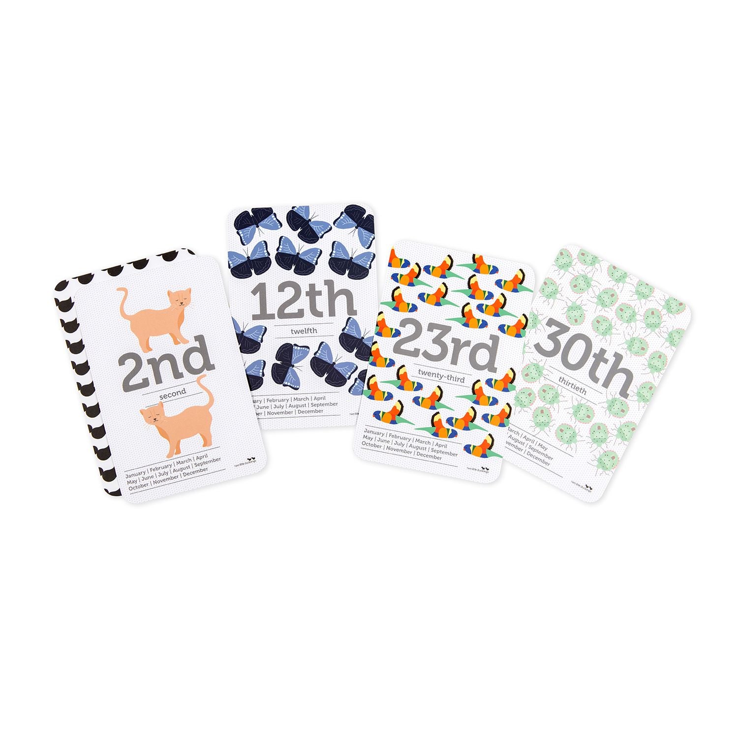 Days, Months and Seasons Flash Cards – Colourful Learning Toy Store